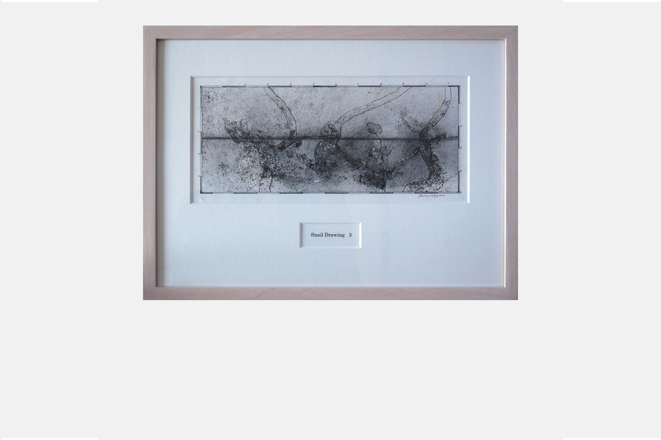 Jenny Wiggins — SNAIL MAPS