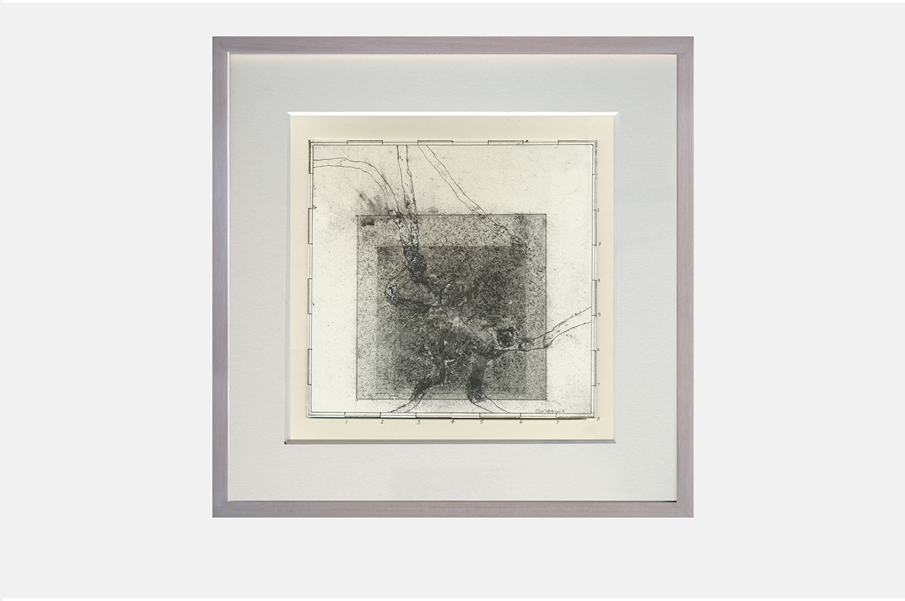 Jenny Wiggins — SNAIL MAPS