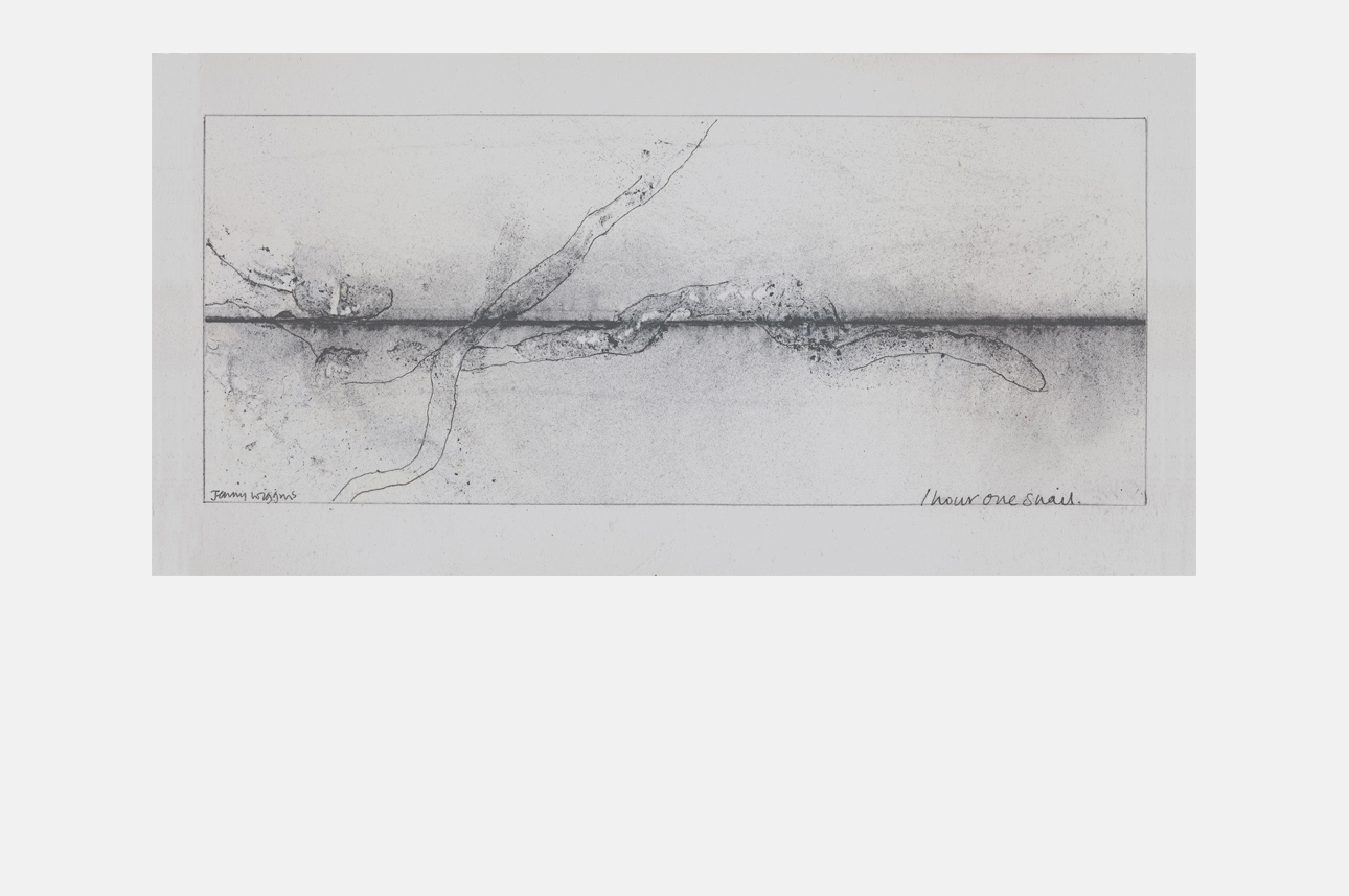 Jenny Wiggins — SNAIL MAPS