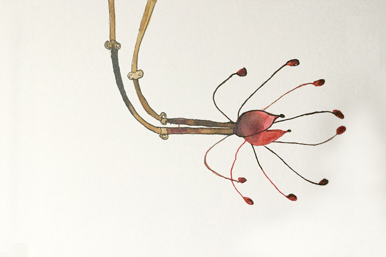 Jenny Wiggins — HOME WORKS-01