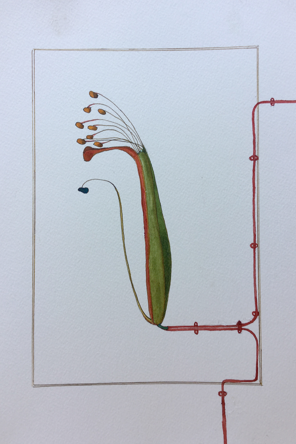 Jenny Wiggins — HOME WORKS-01