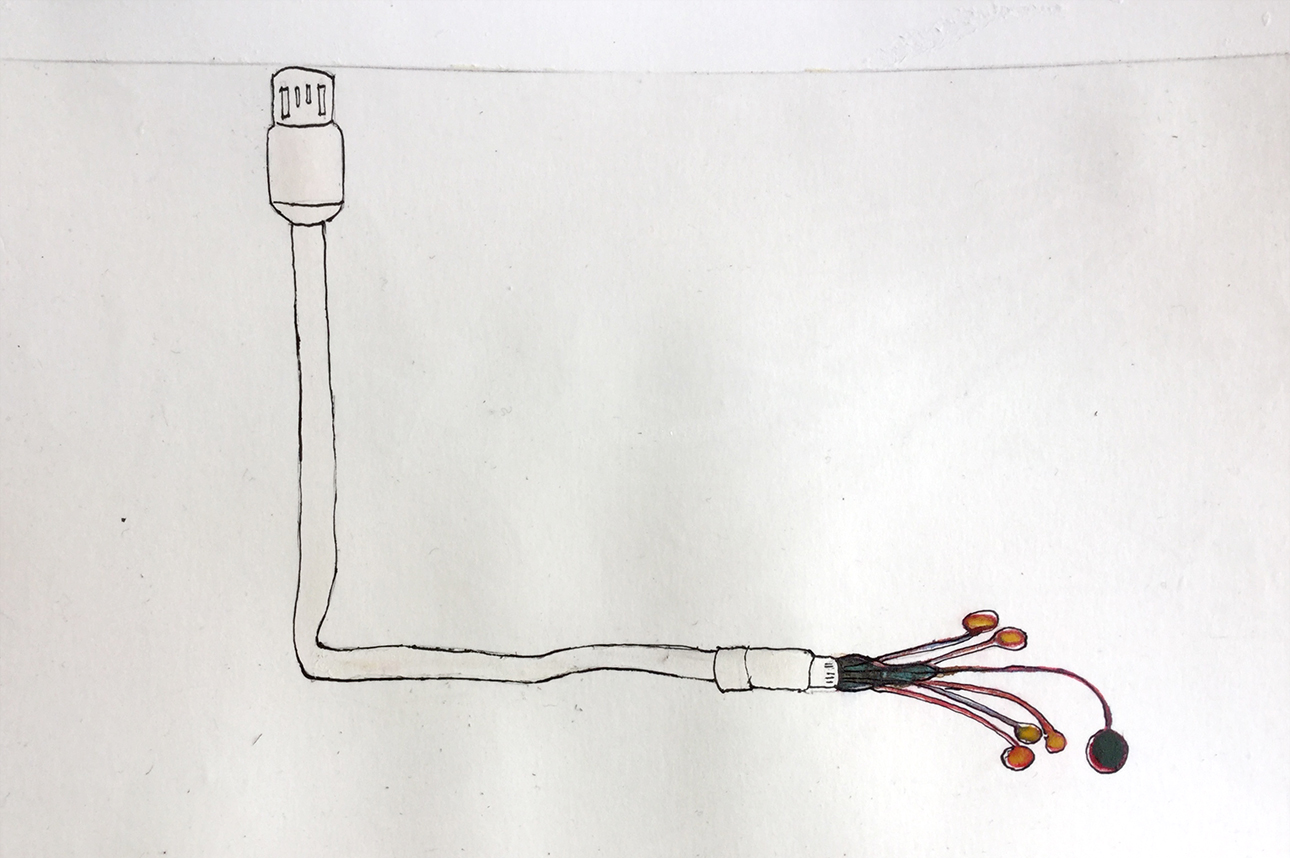 Jenny Wiggins — HOME WORKS-01