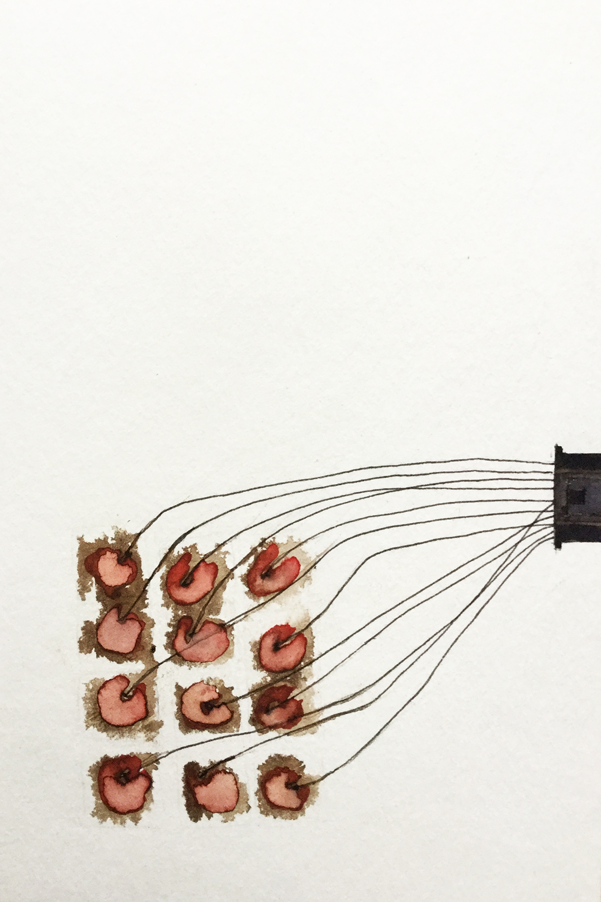 Jenny Wiggins — HOME WORKS-01